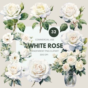 White Rose Clipart Pack, Watercolor White Rose, Wedding Flowers, Baby ...