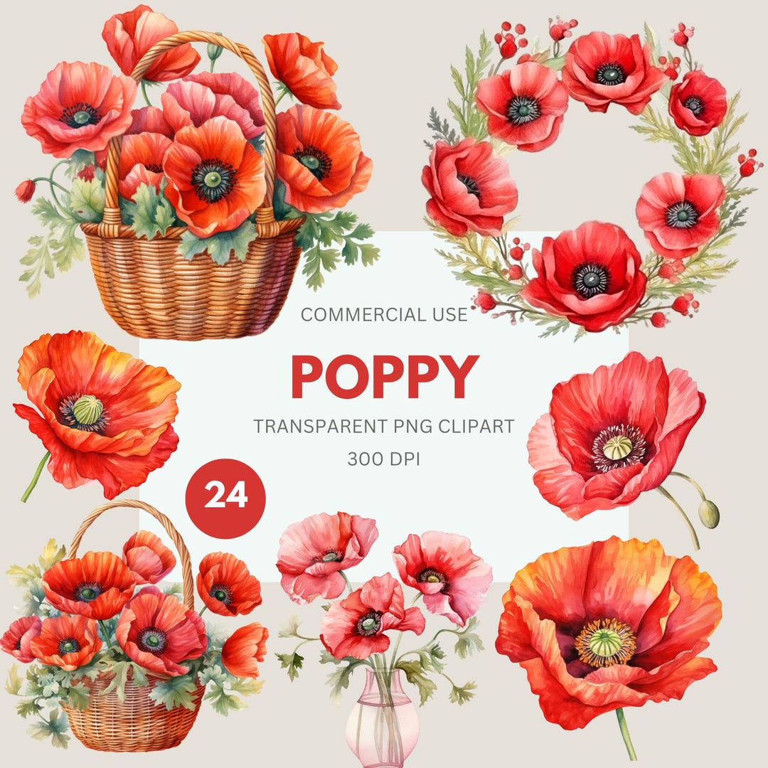 Poppy Clipart, Watercolor Poppy Clipart, Floral Illustration, Red Poppy ...
