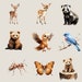 Forest Friend Woodland Creatures Clipart Pack, Watercolor Forest ...