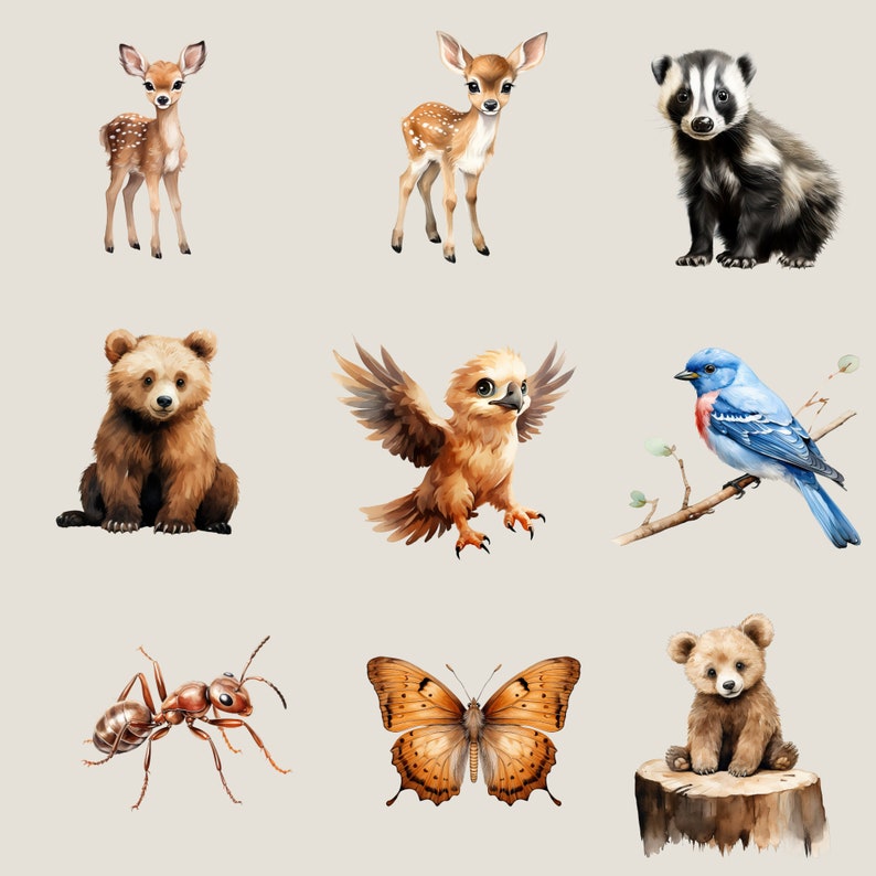 Forest Friend Woodland Creatures Clipart Pack, Watercolor Forest ...