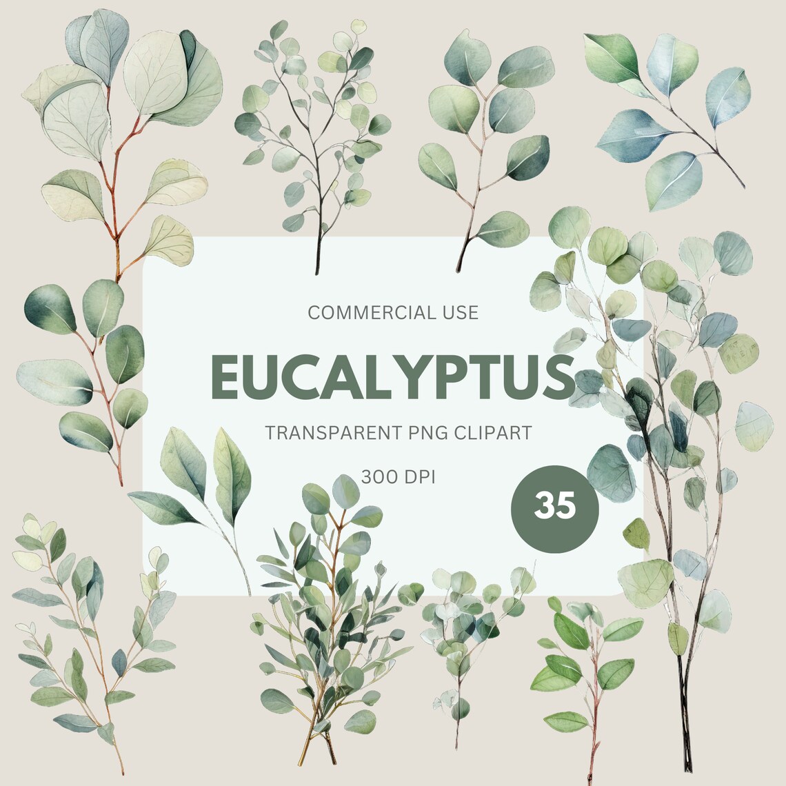 Eucalyptus Clipart Pack, Eucalyptus Leaves PNG, Greenery Set, Border ...