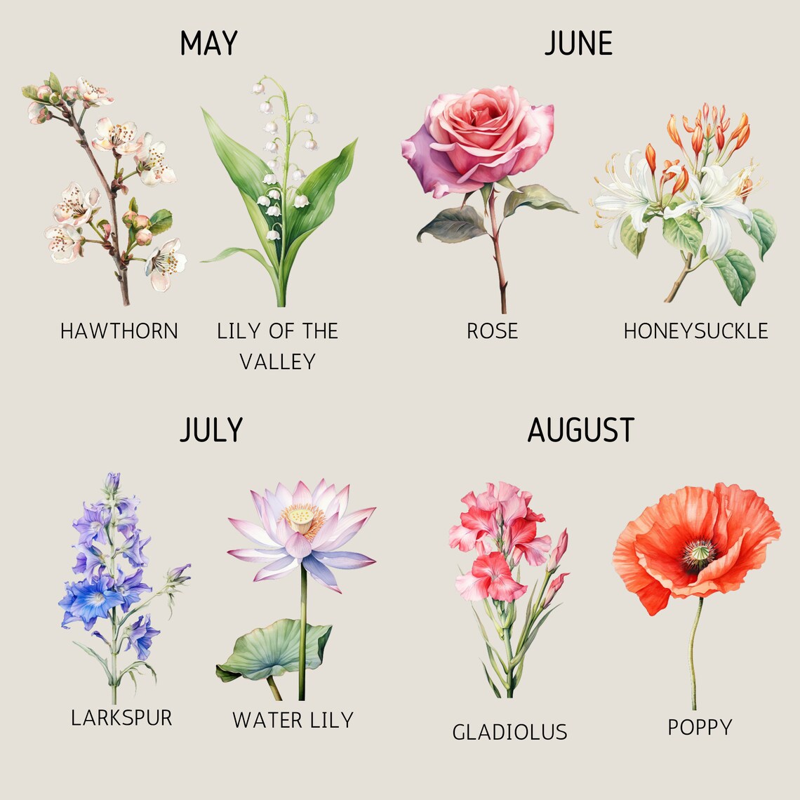 24 Monthly Birth Flower Clipart Pack, Watercolor Birth Month Flower PNG ...