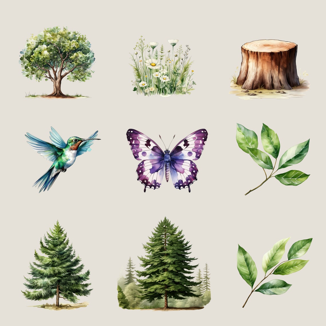 Forest Friend Woodland Creatures Clipart Pack, Watercolor Forest ...