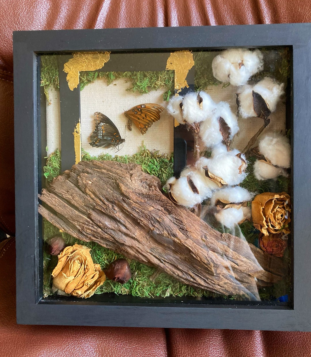 Admiral & Monarch Shadow Box - Etsy