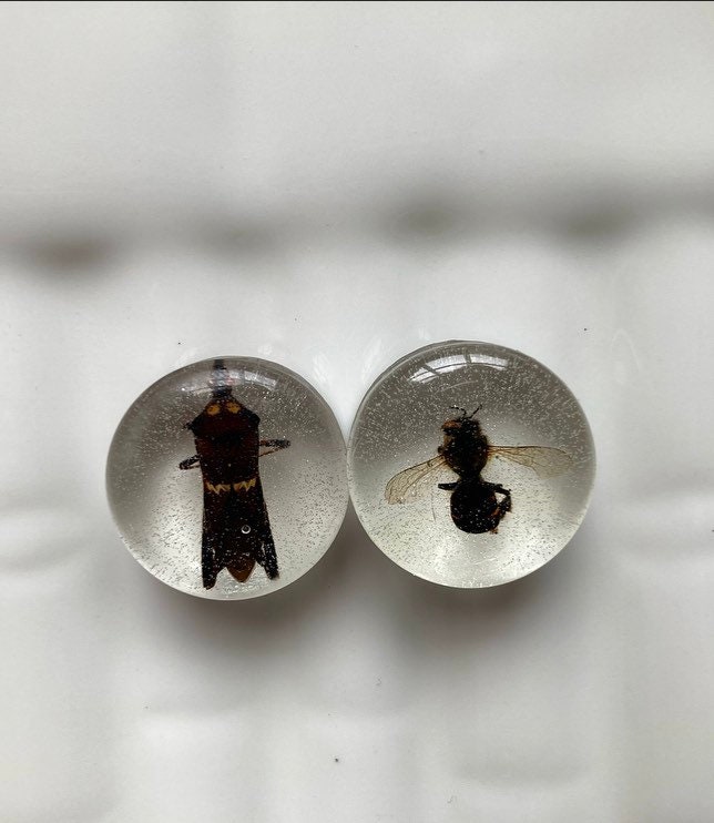 Bug Out Plugs - Etsy