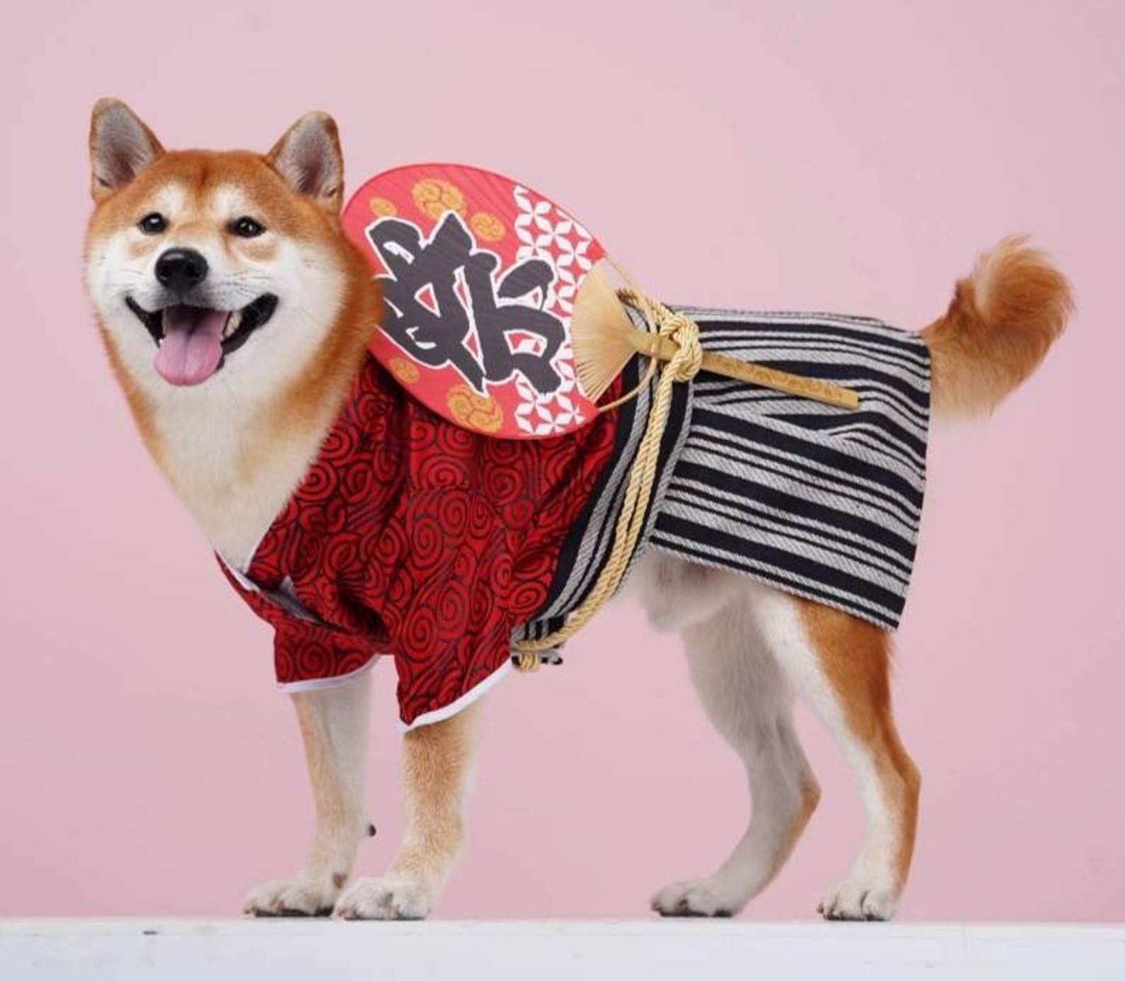 Dog Japanese Warrior Kimono - Etsy