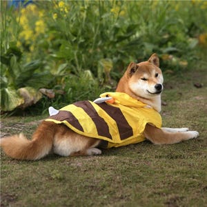 Dog Honeybee Waterproof Rain Jacket - Etsy