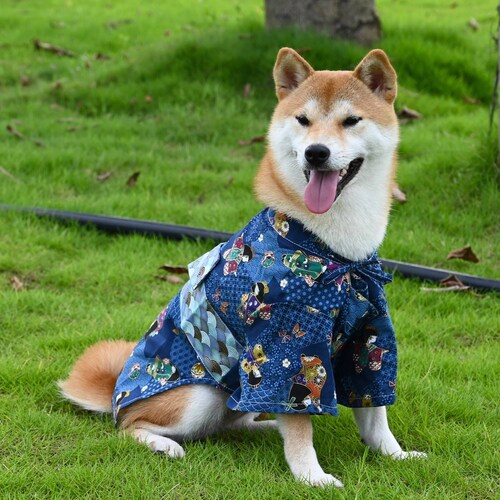 Dog Japanese Warrior Kimono - Etsy