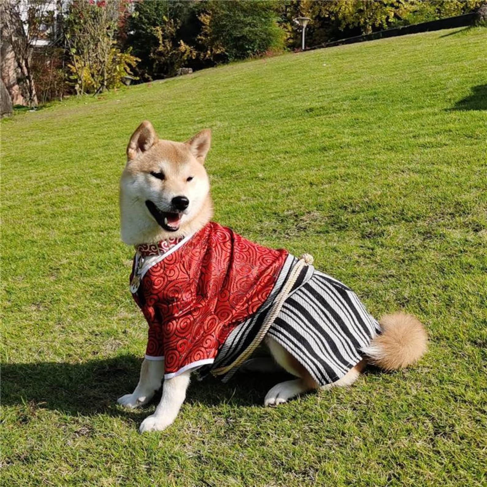 Dog Japanese Warrior Kimono - Etsy
