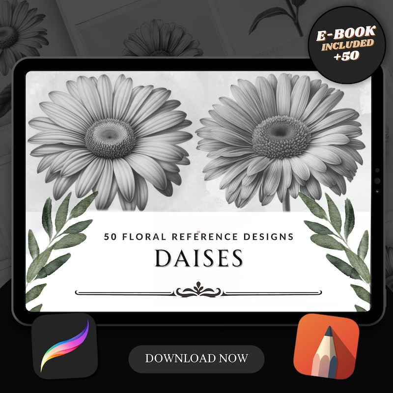 Daisy Digital Stamp - Etsy