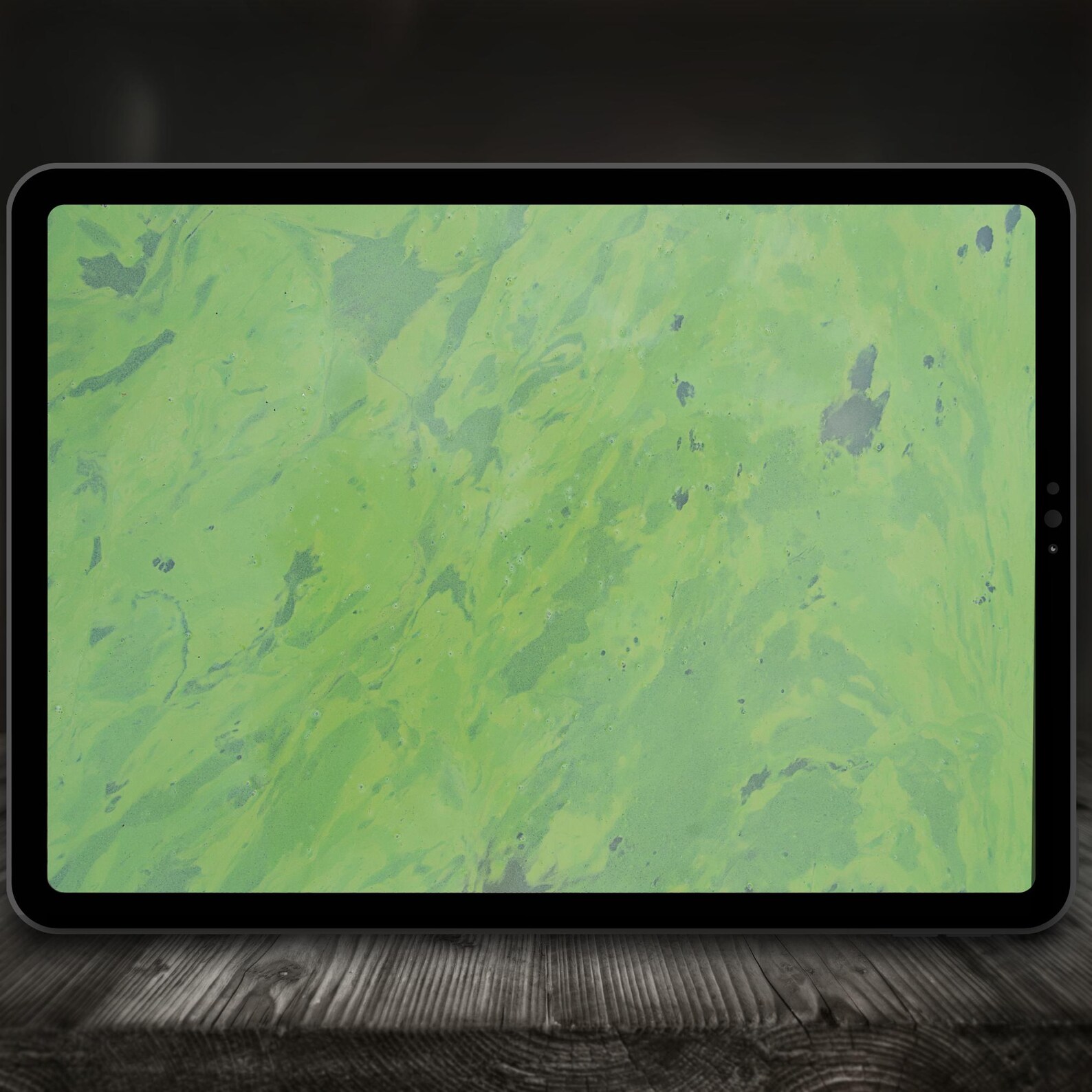 Swamp & Marsh Procreate Color Palette – 30 Murky Bog Tones for Tattoo ...