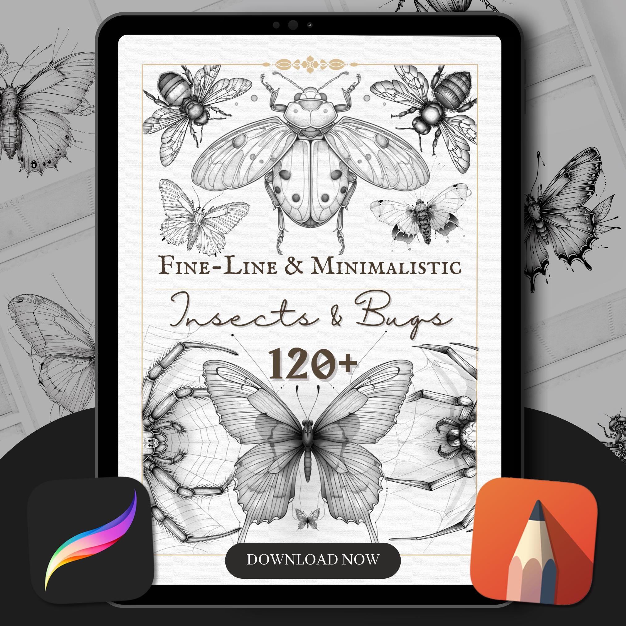 Fineline Insect Tattoo Stencil Brush Pack: Procreate & Sketchbook ...