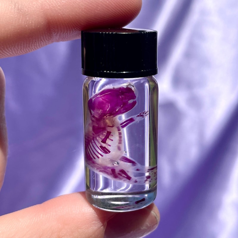 Diaphonization - Etsy