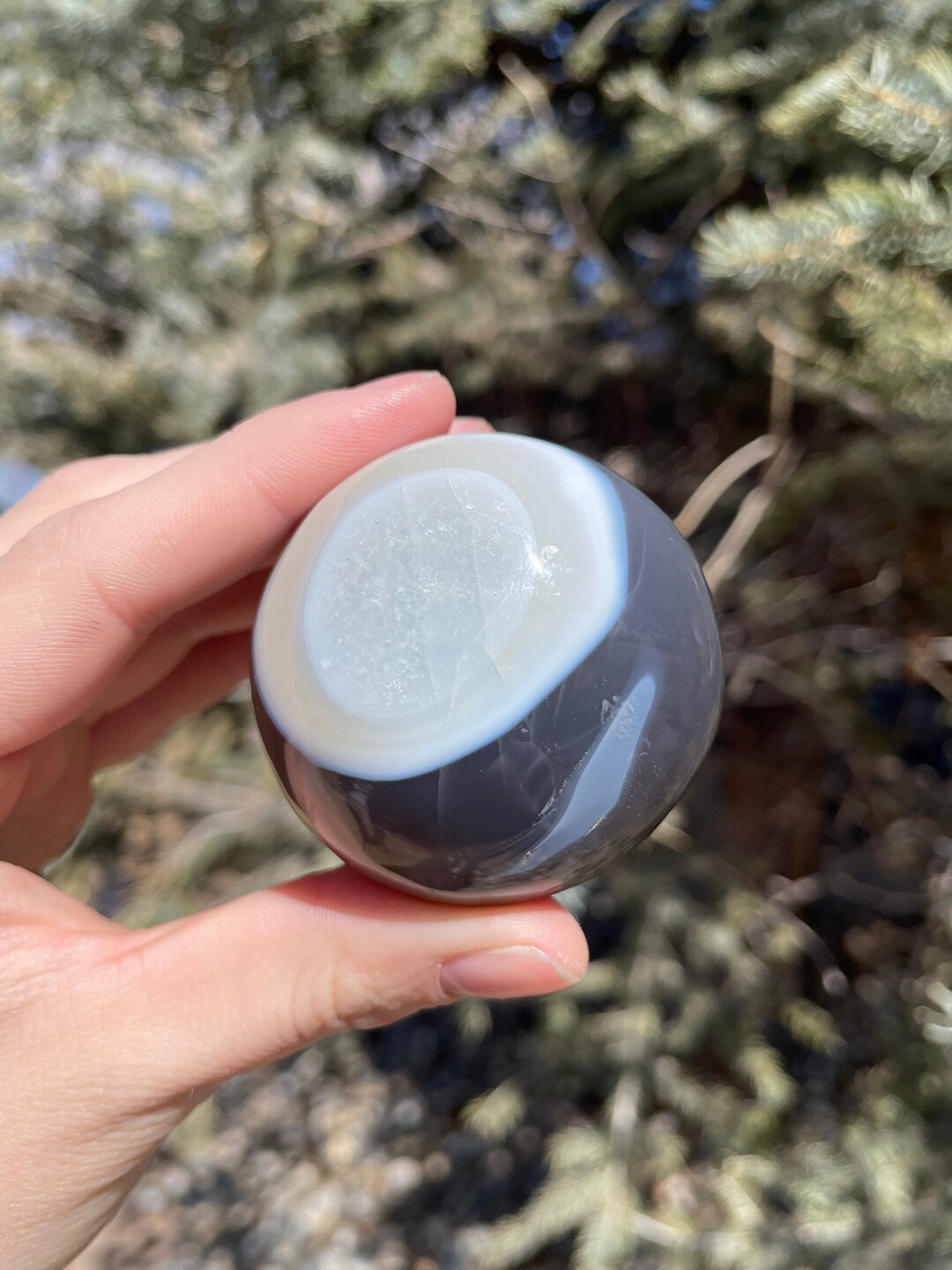 Ocean Orca Agate Palm Stone Polished Orca Agate Palmstone Ocean Blue ...