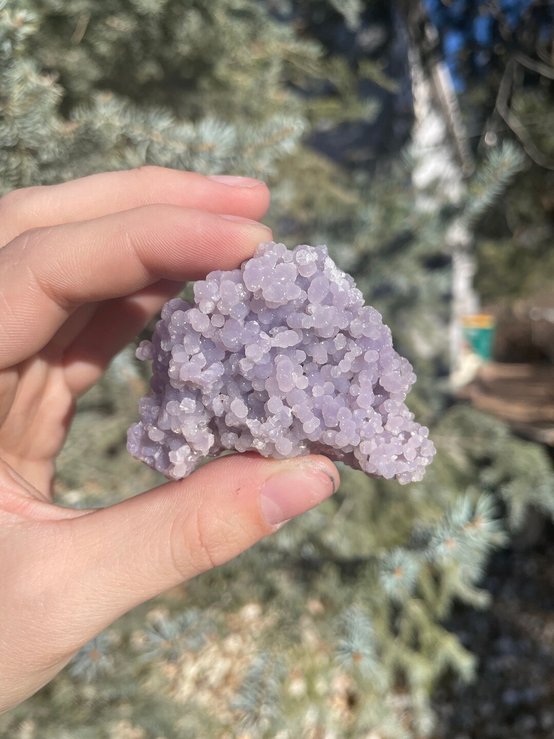 Sparkly Grape Agate Cluster High Quality Grape Agate Druzy - Etsy