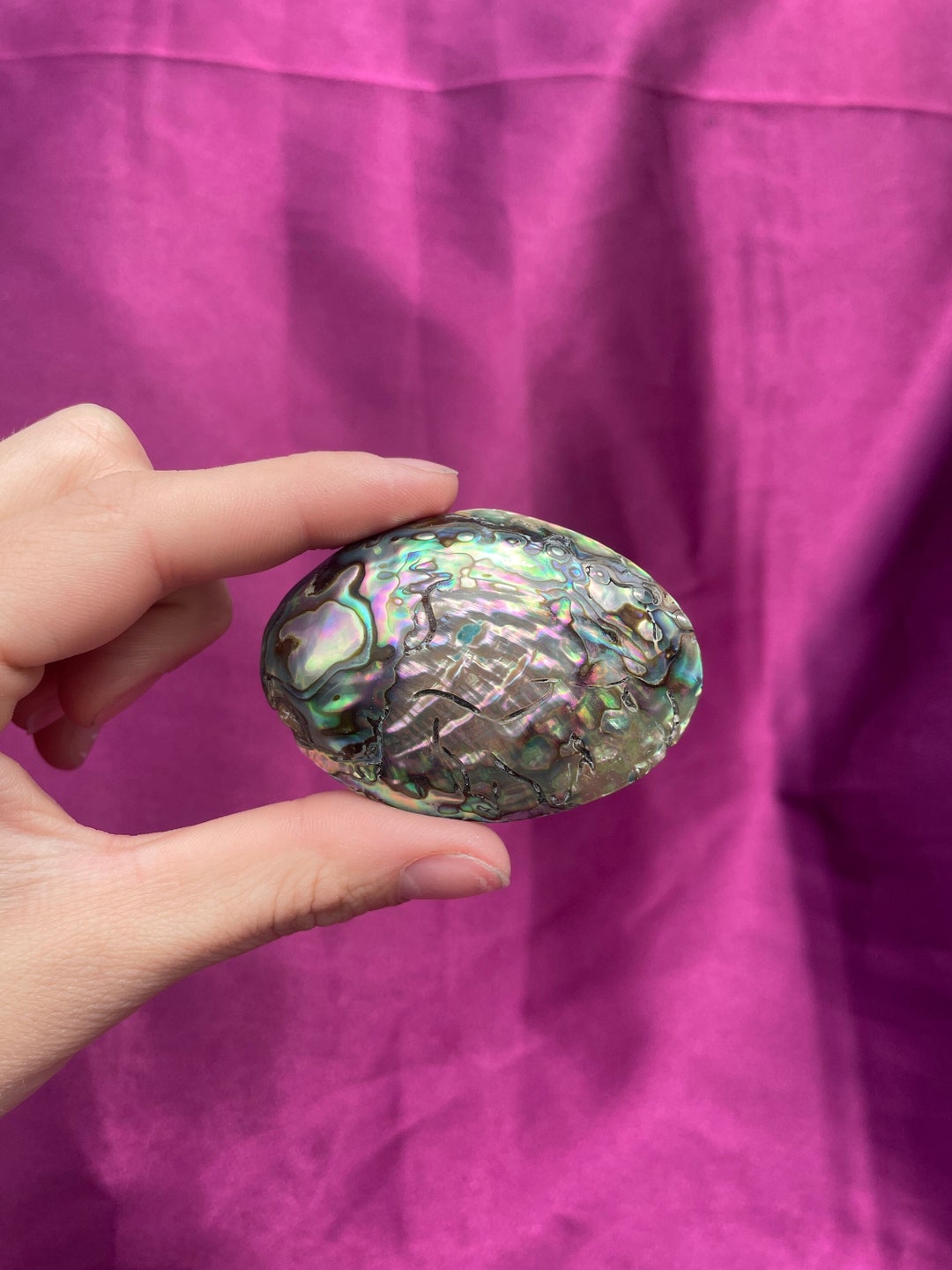 Pearlescent Abalone Shell Rainbow Fire Opal Shell Pearlescent Clam ...
