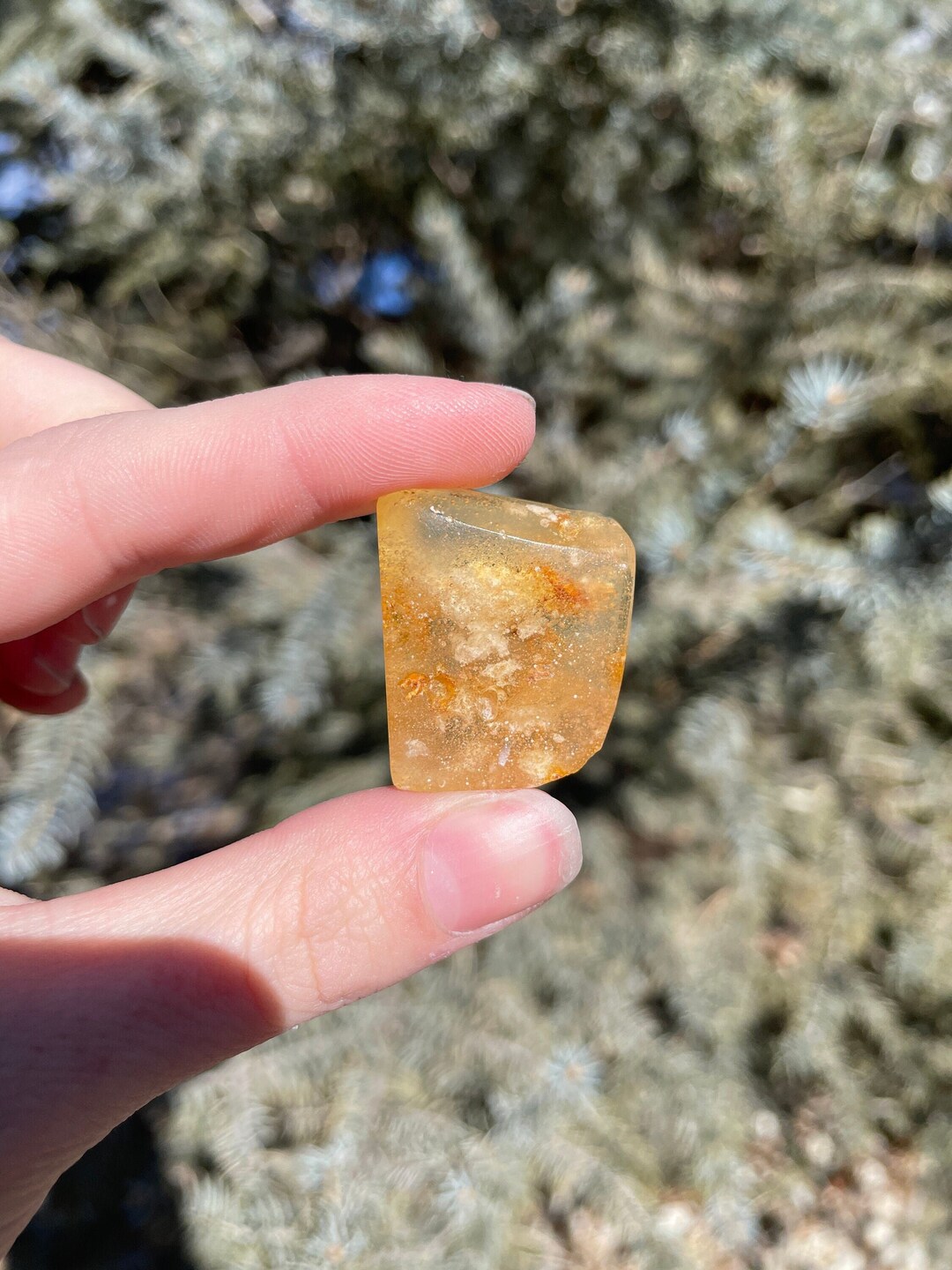 Real Colombian Amber 20 Million Year Old Amber Dinosaur Age Amber ...