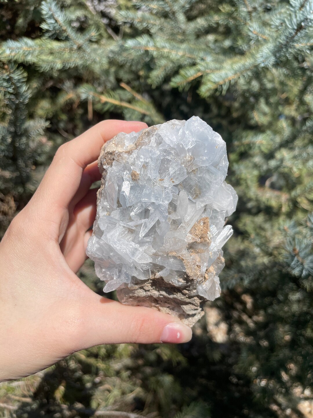 Celestite Cluster Light Blue Crystal Raw Celestite Specimen Celestite ...