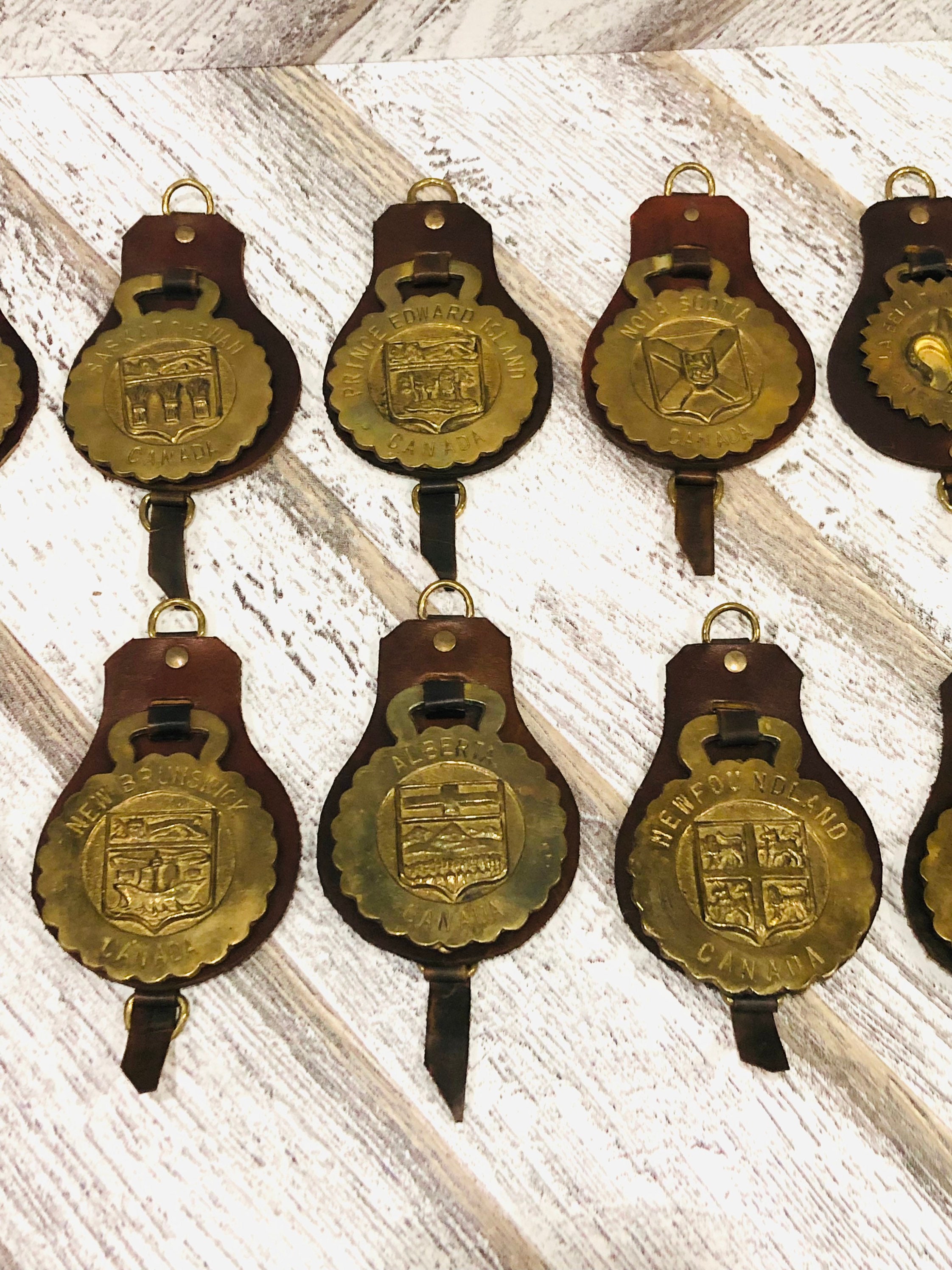 RARE SET Vintage Solid Brass Medallion on Leather, Provinces and ...
