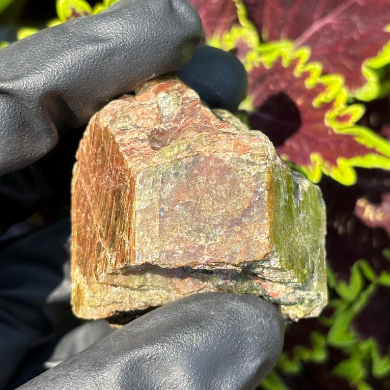 Cristal de apatita bicolor de Bear Lake Diggings, Ontario, Canadá, 134 ...