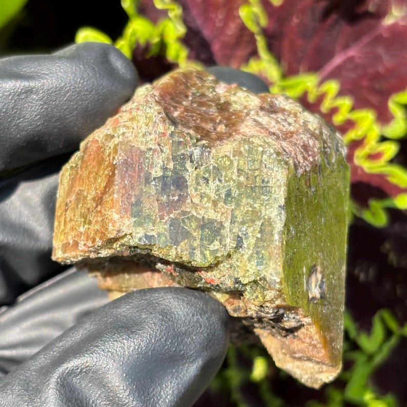 Cristal de apatita bicolor de Bear Lake Diggings, Ontario, Canadá, 134 ...