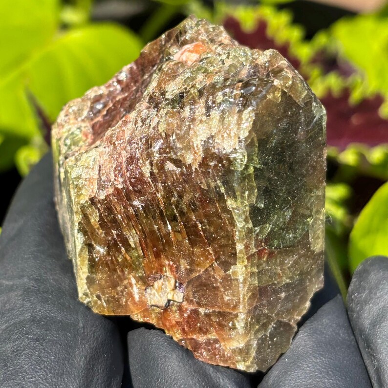 Cristal de apatita bicolor de Bear Lake Diggings, Ontario, Canadá, 134 ...