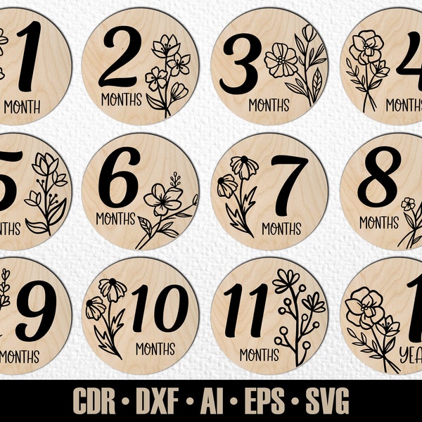 Baby Monthly Milestone Svg - Etsy