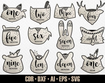 12 Monthly Baby Animals Milestones SVG. Set From Months to One | Etsy