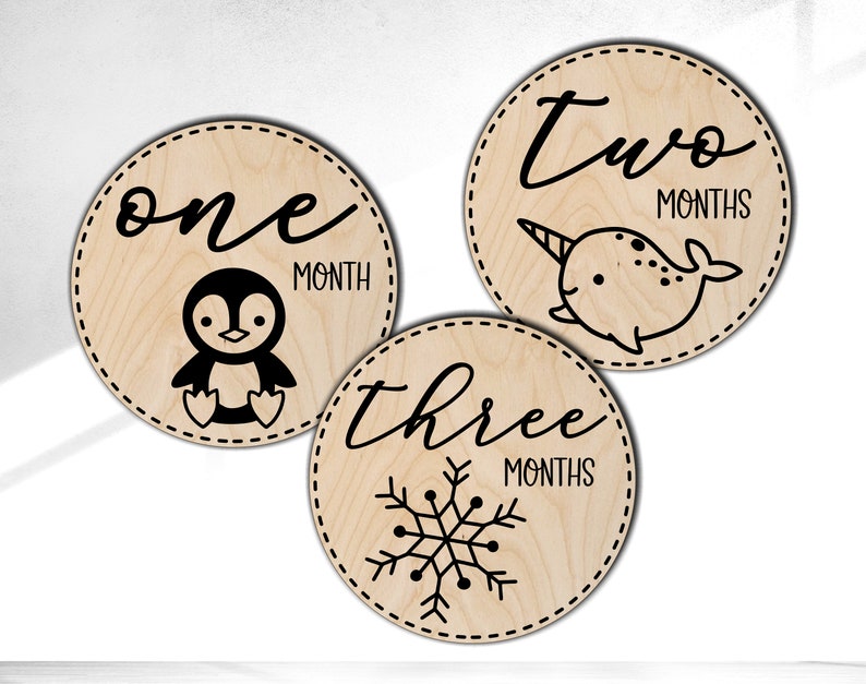 12 Hand Drawn Monthly Arctic Baby Animal Milestones SVG. Set From ...