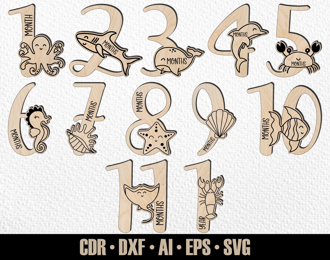 12 Hand Drawn Monthly Baby Sea Life Milestones SVG. Set From Months to ...