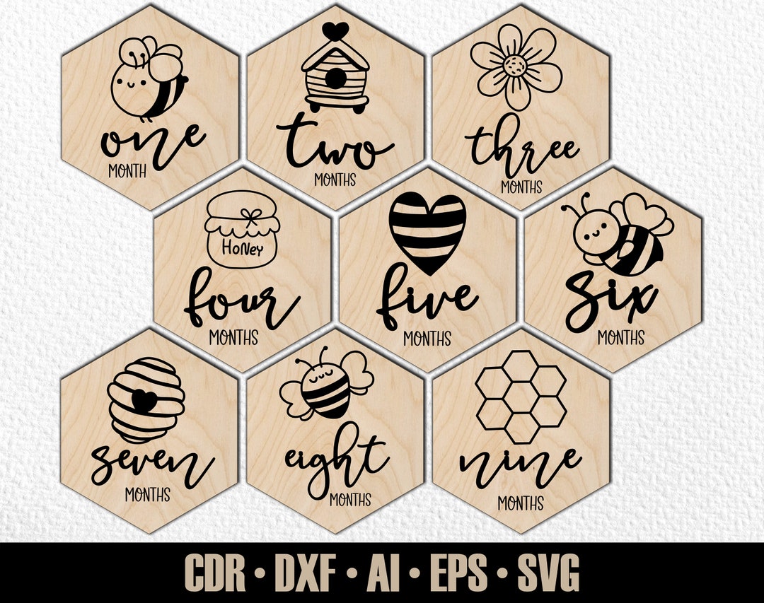 12 Hand Drawn Monthly Baby Bee Milestones SVG. Set From Months to One ...