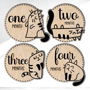 12 Hand Drawn Monthly Baby Kitten Milestones SVG. Set From Months to ...