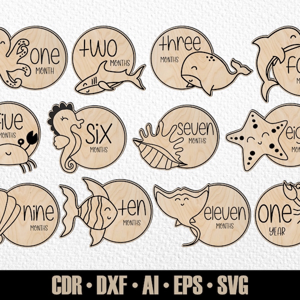 Sea Shell Svg - Etsy