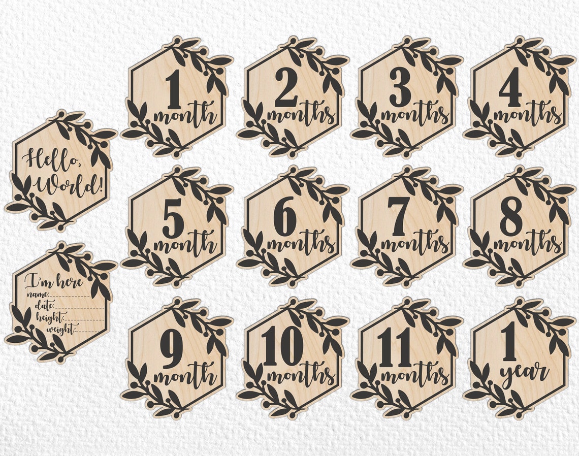 39 Monthly Floral Baby Milestones SVG. Big Set From Birth to - Etsy