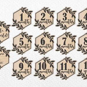 39 Monthly Floral Baby Milestones SVG. Big Set From Birth to One Year ...