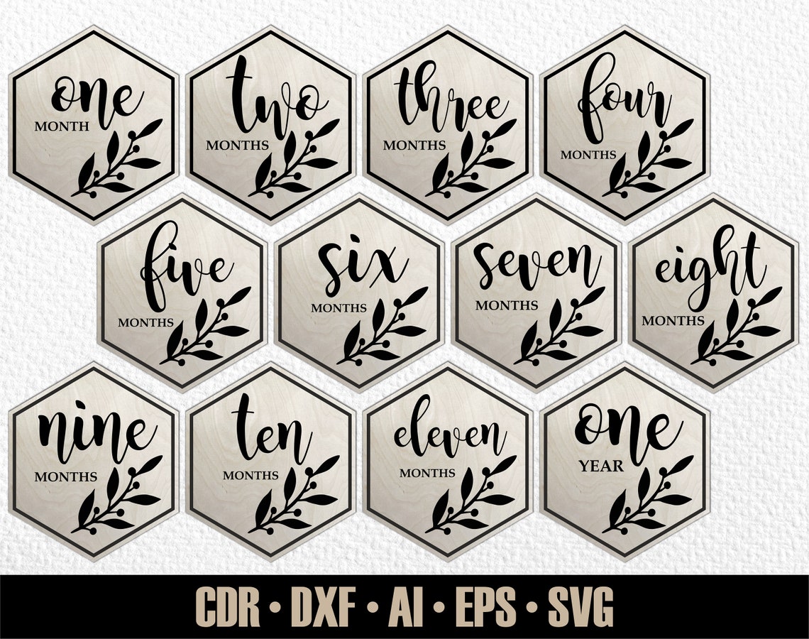 12 Monthly Floral Baby Milestones SVG. Set From Birth to One | Etsy