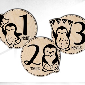12 Hand Drawn Monthly Baby Penguin Milestones SVG. Set From Months to ...
