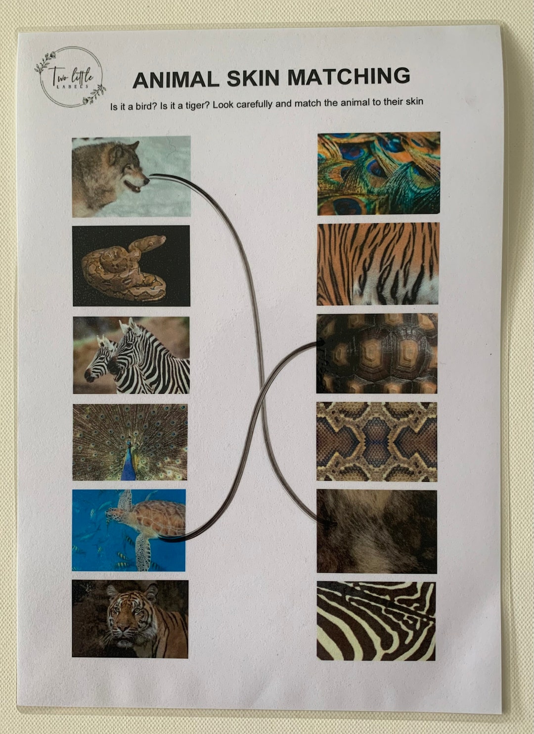 Animal Match Activity, Animal Match Worksheet, Kids Worksheet ...