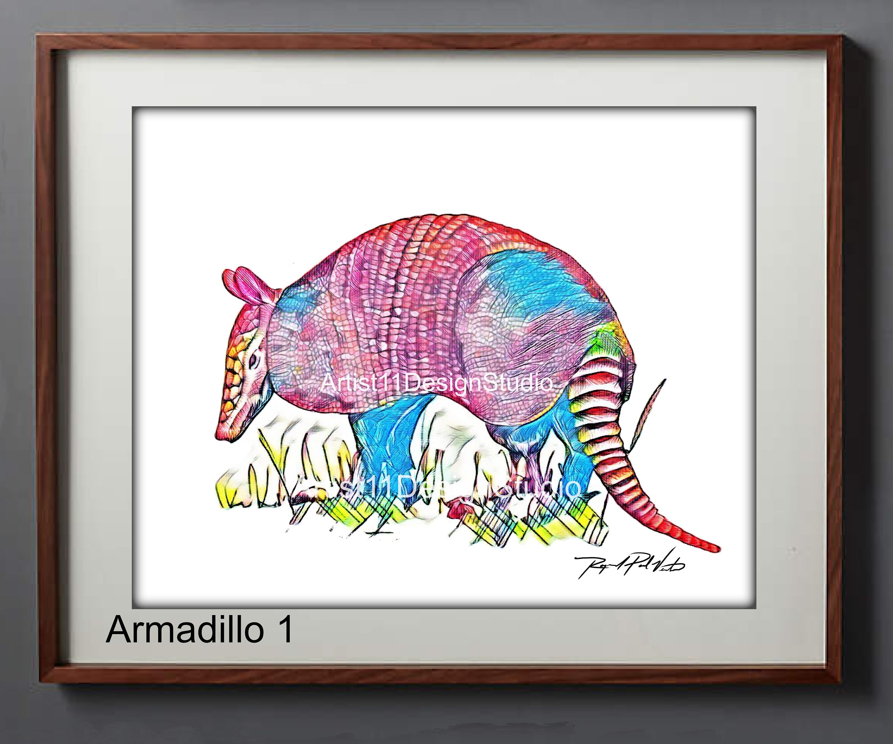 Original Armadillo Art Print, Watercolor, Ink - Etsy