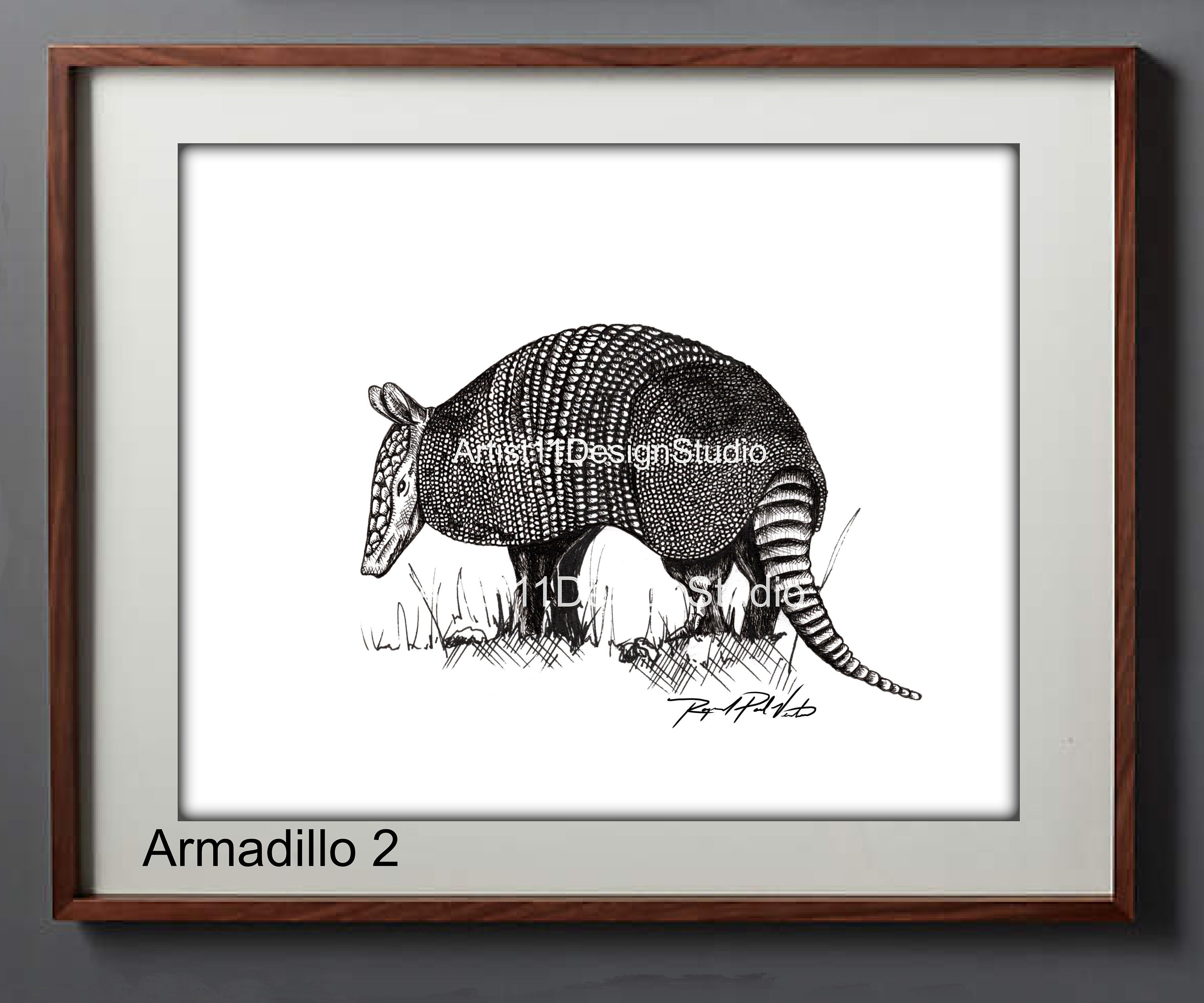 Original Armadillo Art Print, Watercolor, Ink - Etsy