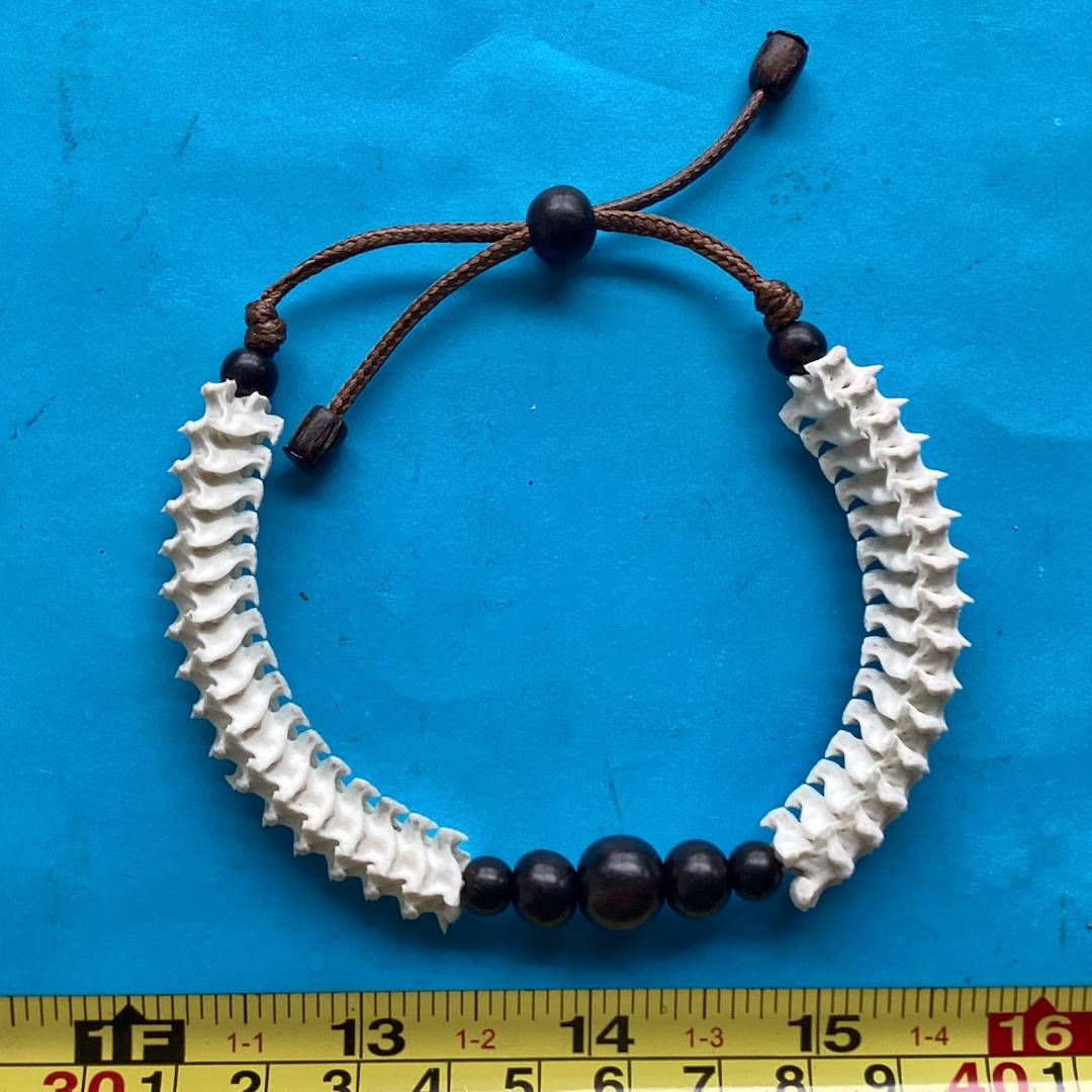 Snake Bones Vertebrae Bracelet Philippines Kalinga Handmade Rare ...