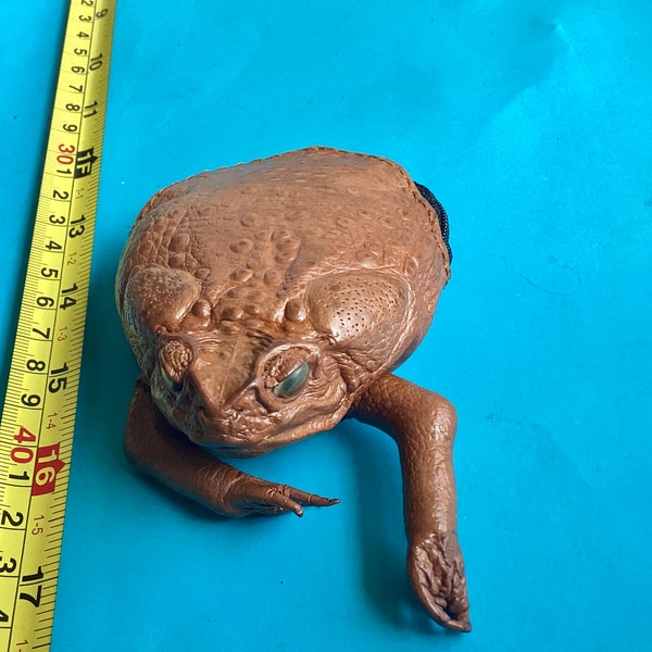 Real Toad Wallet - Etsy