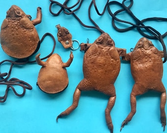Cane Toad Wallet - Etsy