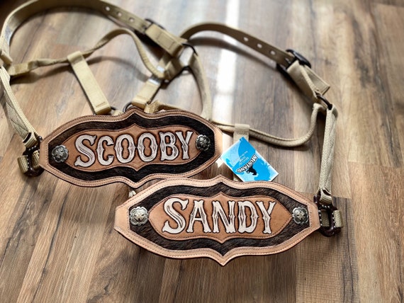 Custom Leather Bronc Style Halter | Etsy