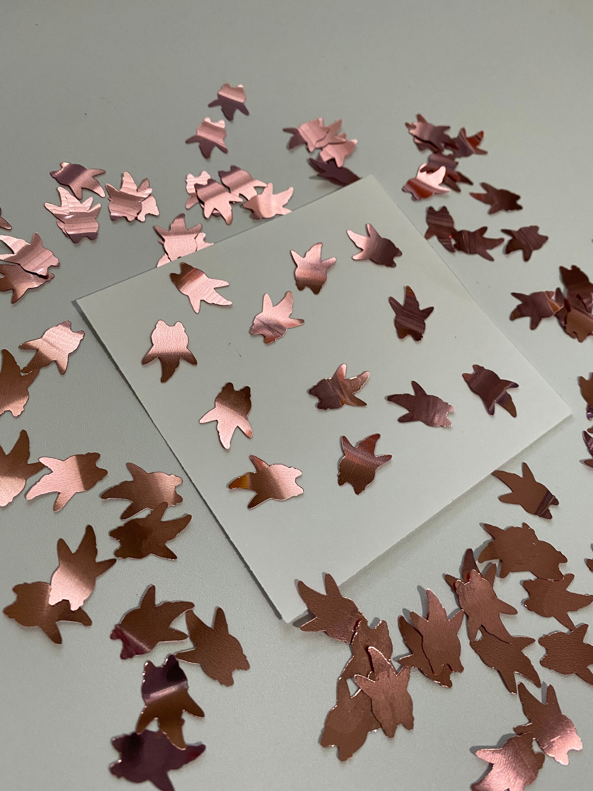 Sponge Confetti Sea Sponge Confetti Starfish Confetti Squid | Etsy