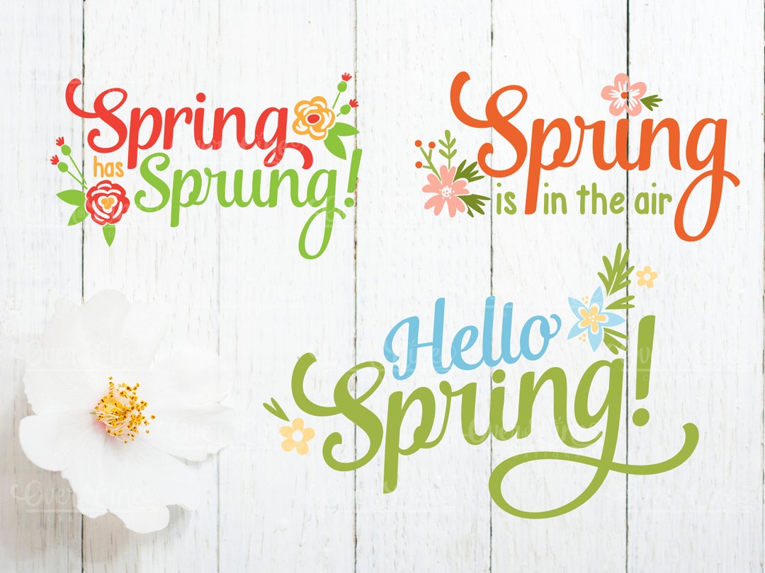 Welcome Spring Bundle SVG/PNG/EPS - Etsy