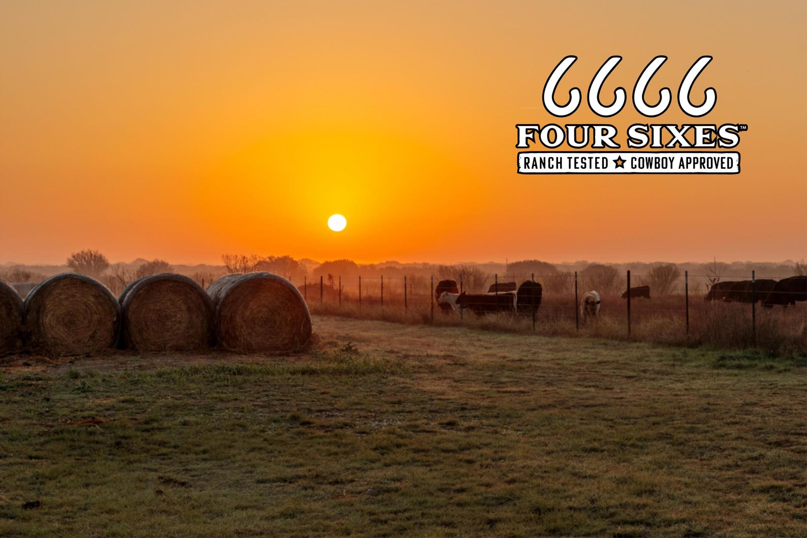 6666 Logo for Shirt SVG PNG PDF Vinyl Stickers Original Design - Etsy