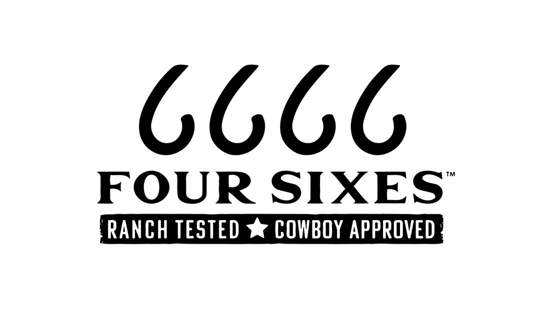 6666 Logo for Shirt SVG PNG PDF Vinyl Stickers Original Design - Etsy