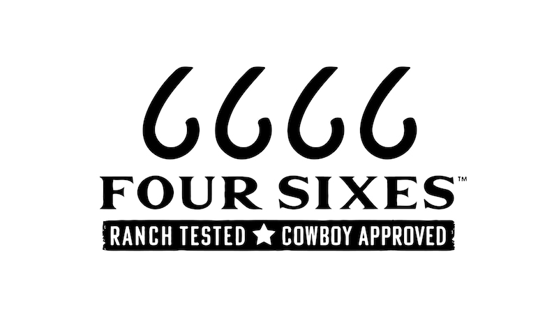 6666 Logo for Shirt SVG PNG PDF Vinyl Stickers Original Design - Etsy