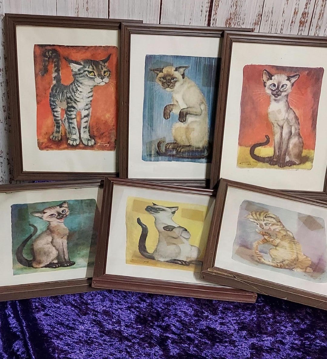 6 Framed GIA Cat Cut Out Prints, 1 Frame Broken - Etsy